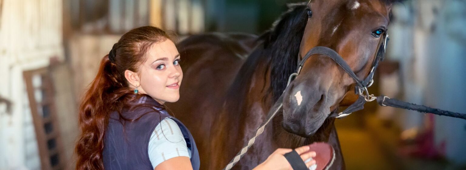 The Real Monthly Cost of Horse Ownership (And How to Budget for It ...